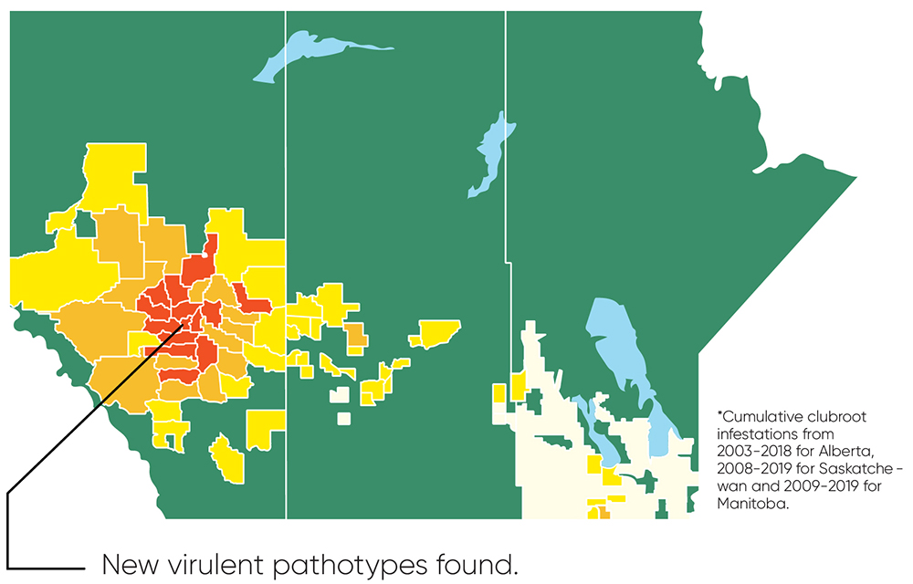 Working with Western Canadian farmers to protect canola crops from ...